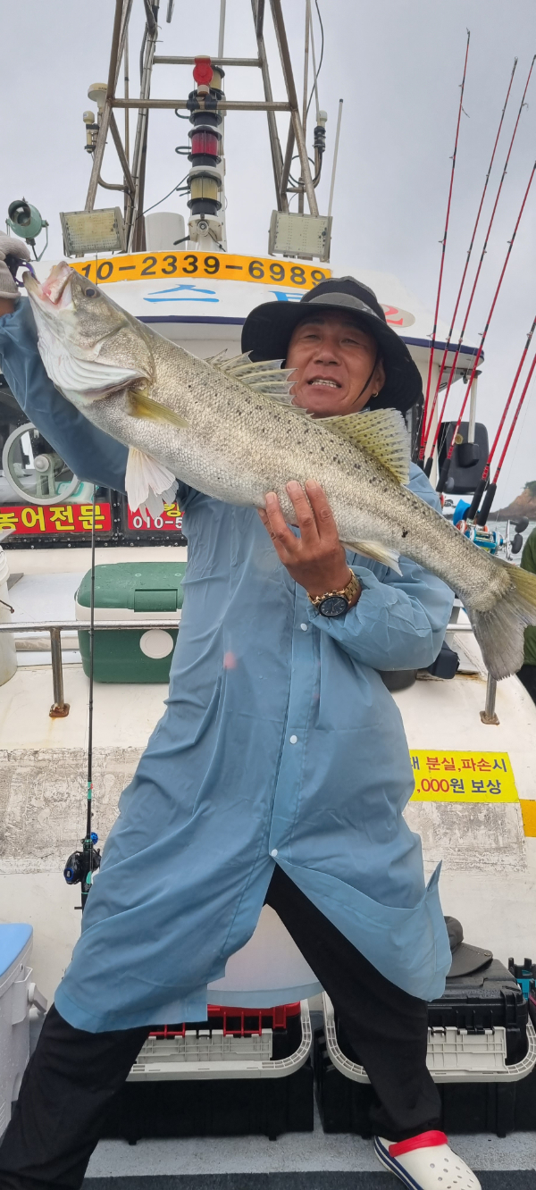 경기권조황 - 8월12일 오이도킹스타호 오전 대박조황!! 농어92cm 85cm 78cm 광어마릿수!!